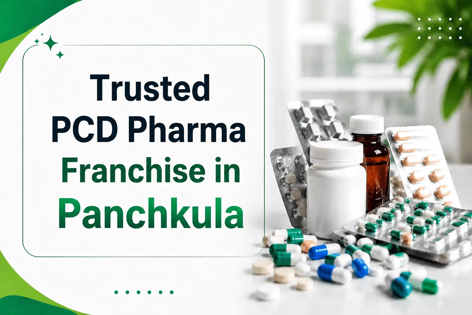 Rezicure Pharmaceuticals | PCD Pharma Franchise Company in India